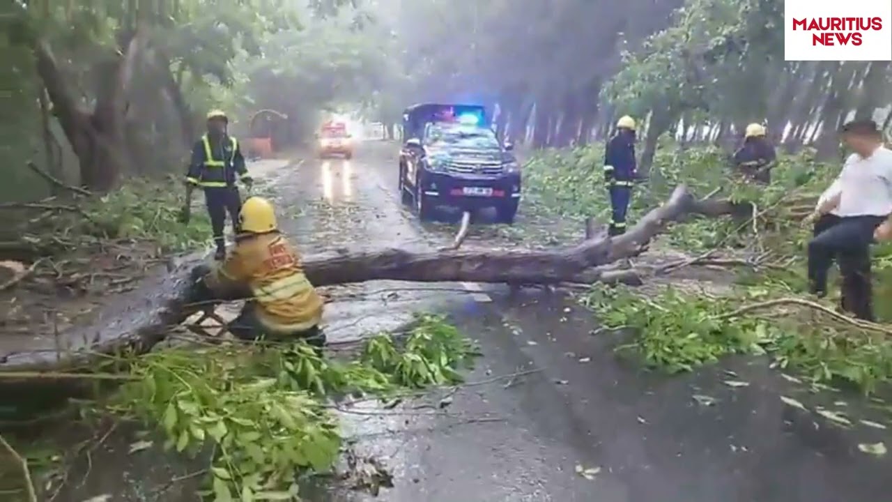 Cyclone Freddy - Mauritius News